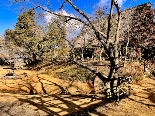 長久手からつづく東部丘陵で体験するグランピングパークの全容！ WOOD DESIGN PARK SETO（となりの瀬戸市 ...