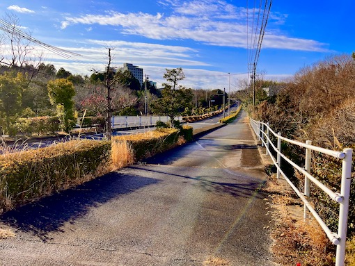 長久手からつづく東部丘陵で体験するグランピングパークの全容！ WOOD DESIGN PARK SETO（となりの瀬戸市 ...